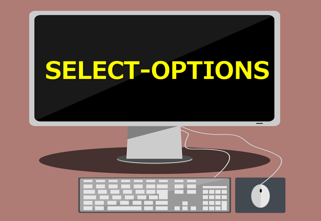 【ABAP】SELECT-OPTIONS命令の使い方を3分で解説 | ビズドットオンライン