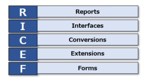 【SAP】RICEF（ライセフ）とは？3分で解説します | ビズドットオンライン