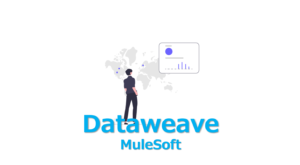 DataWeaveとは？10分で速習する完全ガイド | ビズドットオンライン